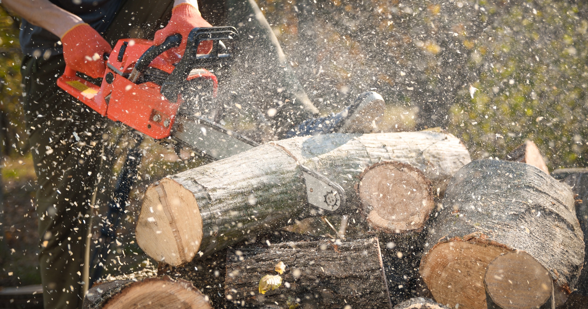 Abattage - Nico Jardins